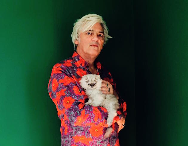 Music Legends With Cats: Robyn Hitchcock - Reviler