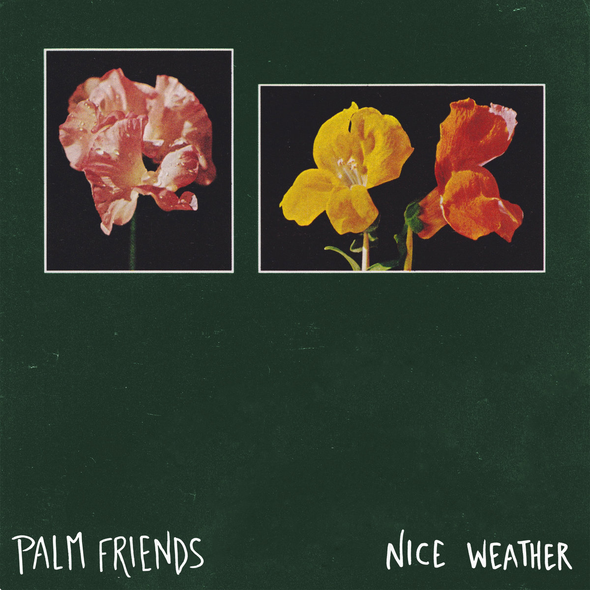 Introducing: The Breezy, Somber Indie Pop of Palm Friends (EP Release ...