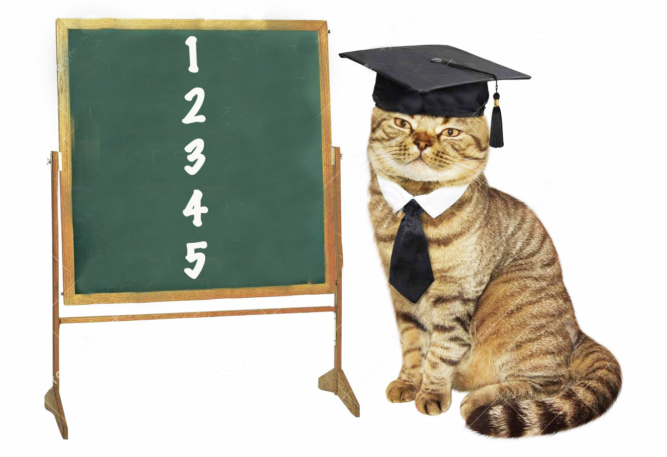 Fresh Five – Keep Shelly In Athens, Gus Dapperton, Torn Hawk, The ...