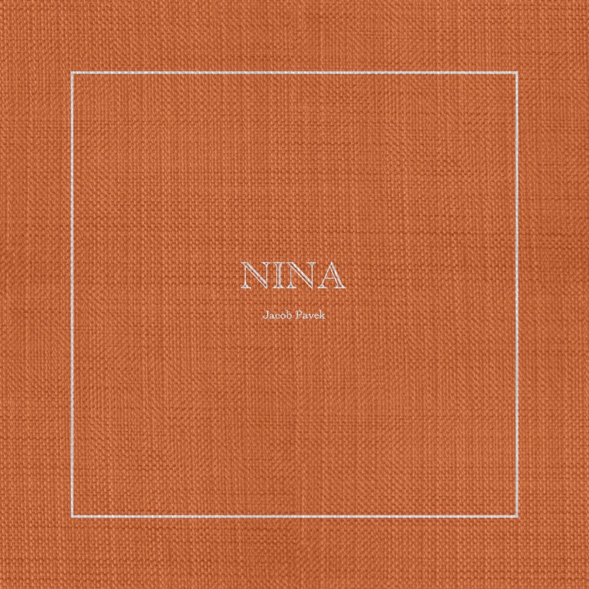 Review: Jacob Pavek’s “NINA” – Reviler